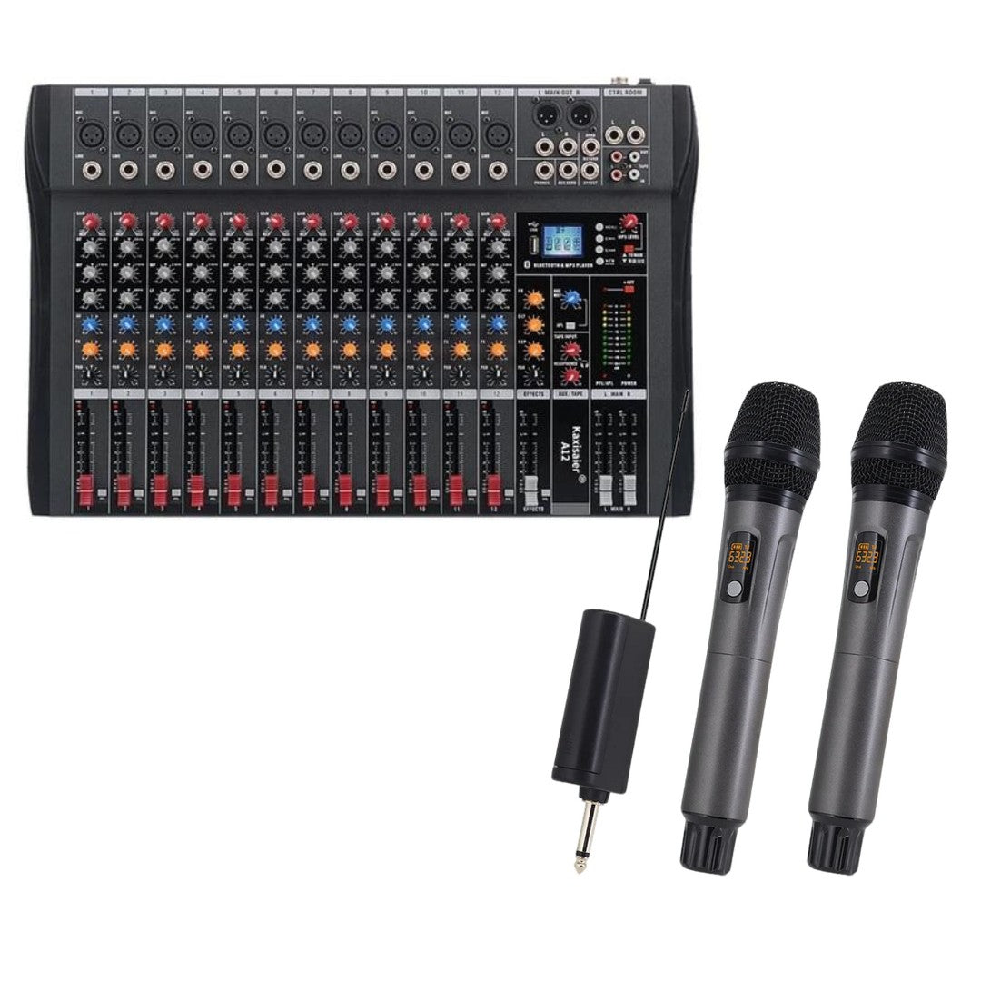 Hridz Pro Audio Bundle: 12-Channel Mixer & Wireless Mics for Events